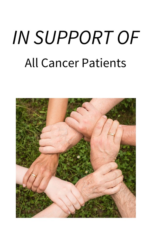 Luminaria In Support Of All Cancer Patients - American Cancer Society