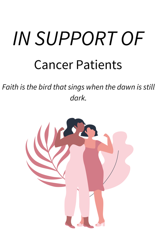 Luminaria In Support Of Cancer Patients - American Cancer Society