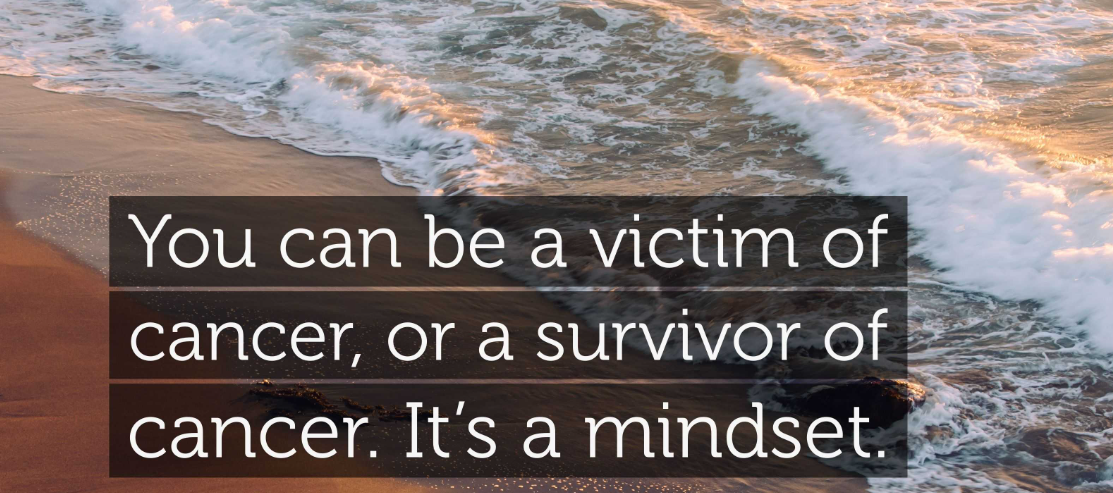 Luminaria In Support Of Cancer Fighters - American Cancer Society