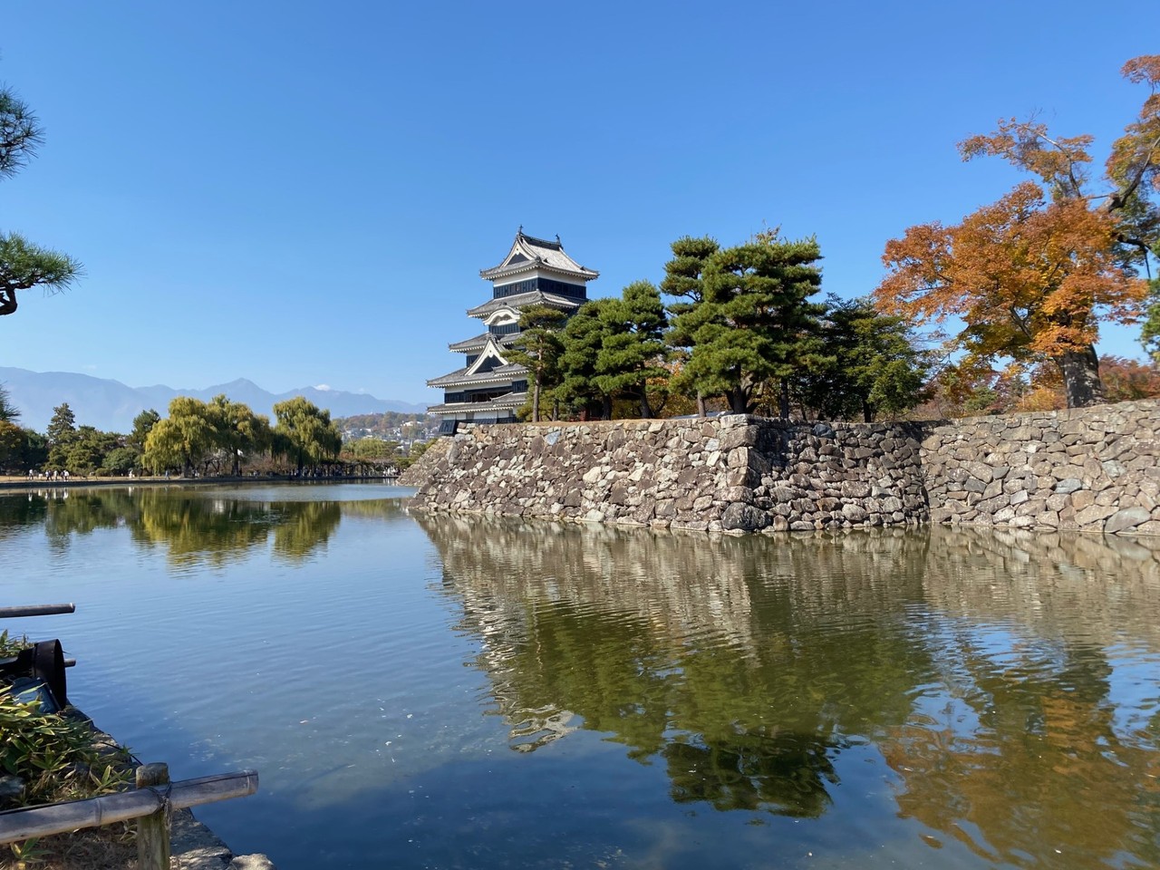 Luminaria In Support Of all cencer surviver - American Cancer Society